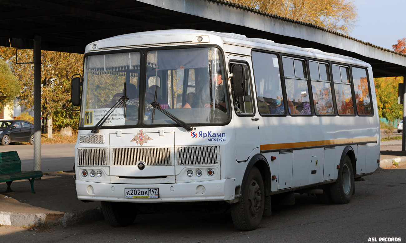 Ленинградская область, ПАЗ-4234-05 № А 202 ВА 147 — Фото — Автобусный транспорт