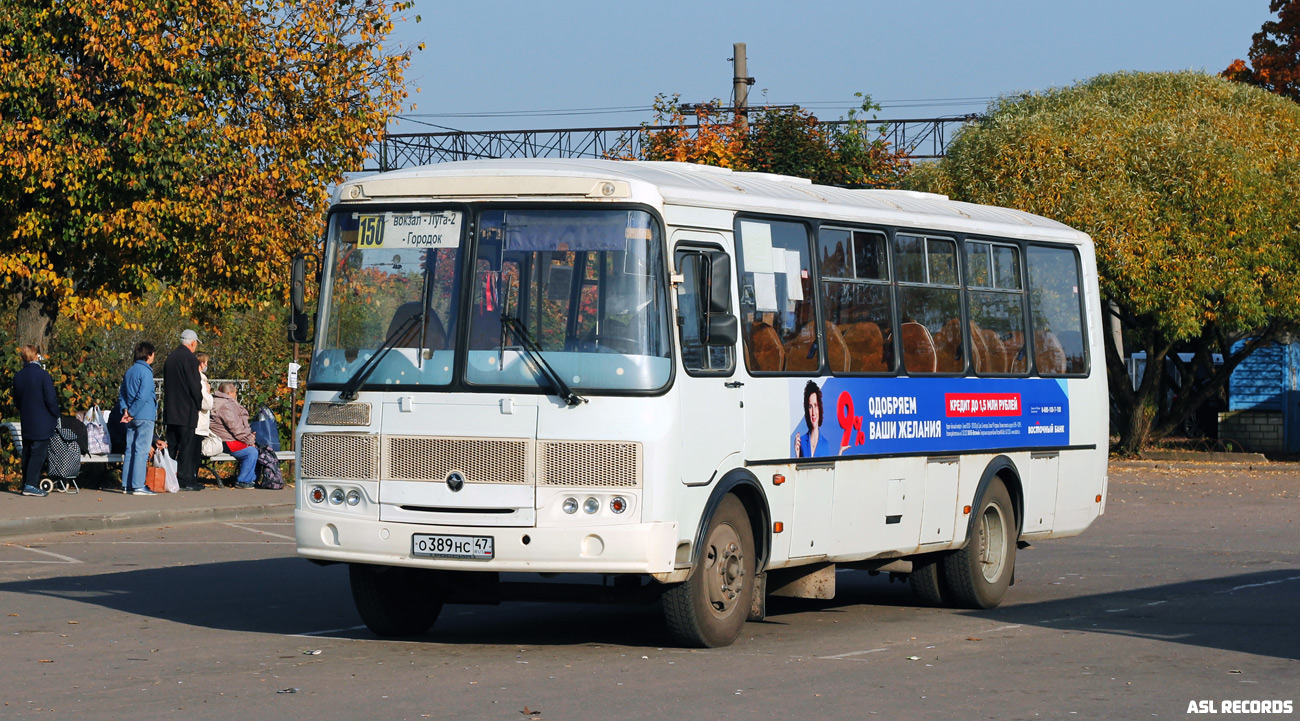 Ленинградская область, ПАЗ-4234-05 № О 389 НС 47 — Фото — Автобусный транспорт