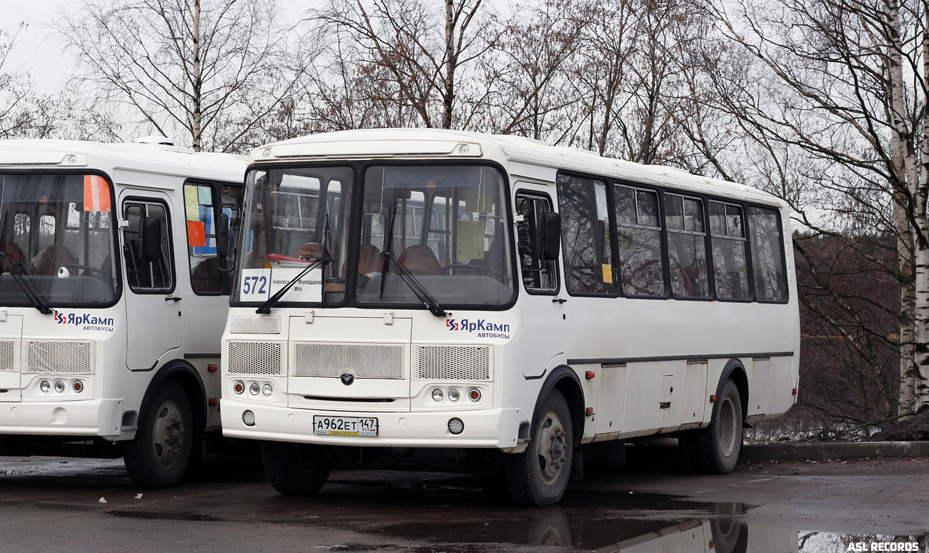 Ленинградская область, ПАЗ-4234-05 № А 962 ЕТ 147 — Фото — Автобусный транспорт