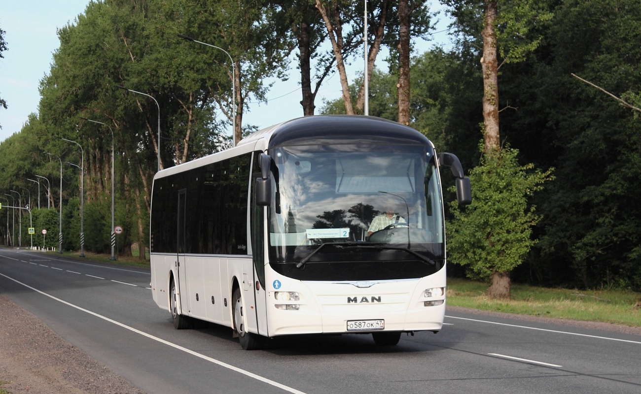 Ленинградская область, MAN R14 Lion's Regio C ÜL354 № О 587 ОК 47 ...