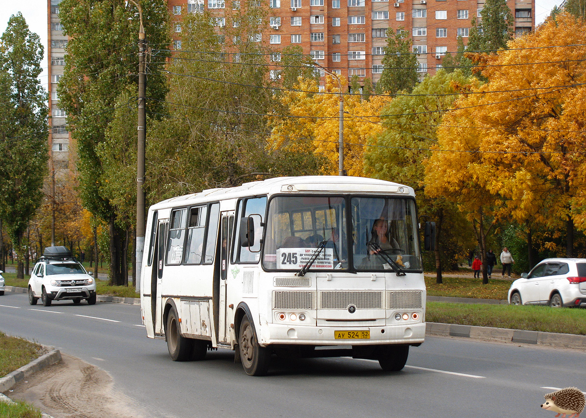Нижегородская область, ПАЗ-4234-04 № АУ 524 52 — Фото — Автобусный транспорт