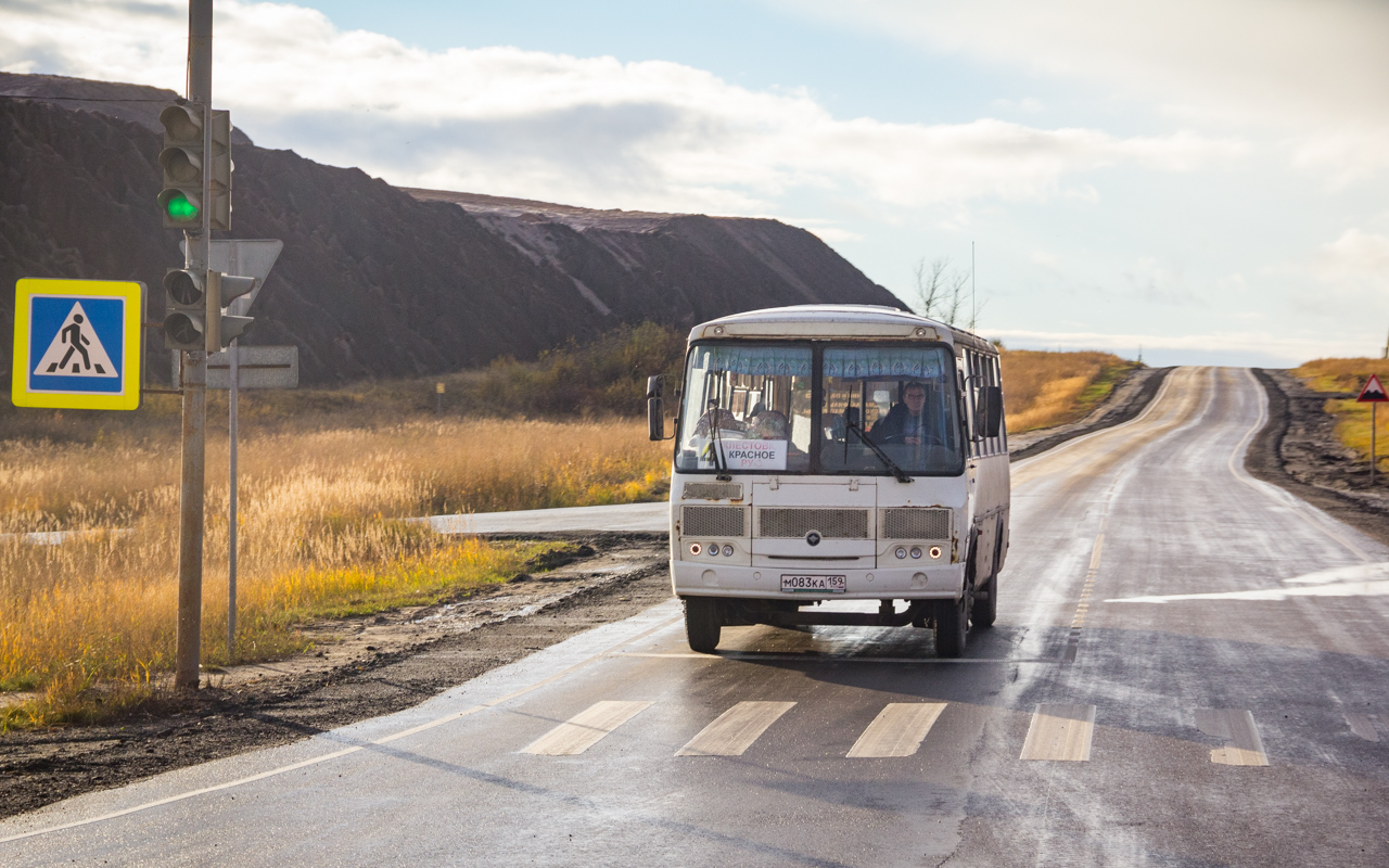 Пермский край, ПАЗ-4234-04 № М 083 КА 159 — Фото — Автобусный транспорт