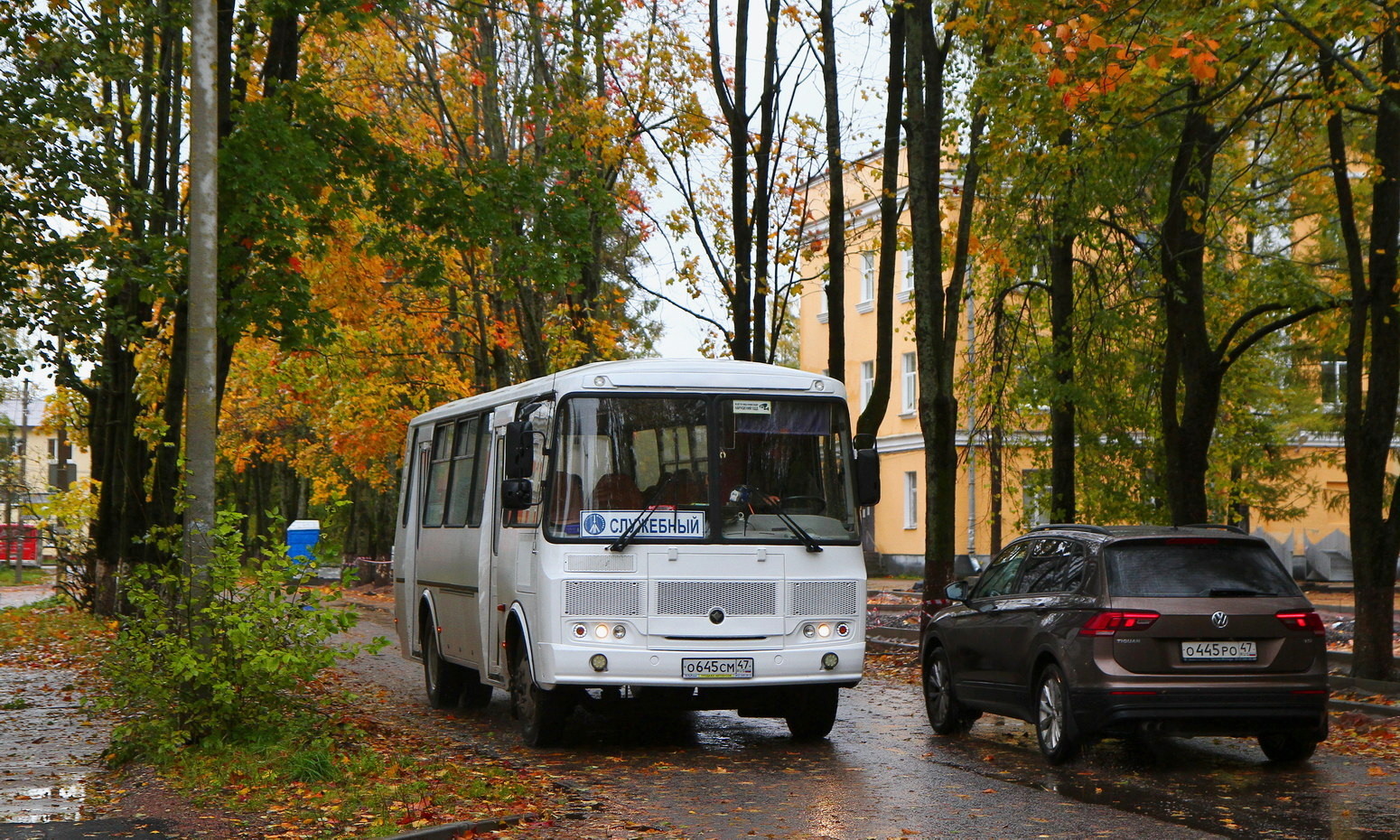 Ленинградская область, ПАЗ-4234-05 № О 645 СМ 47 — Фото — Автобусный транспорт