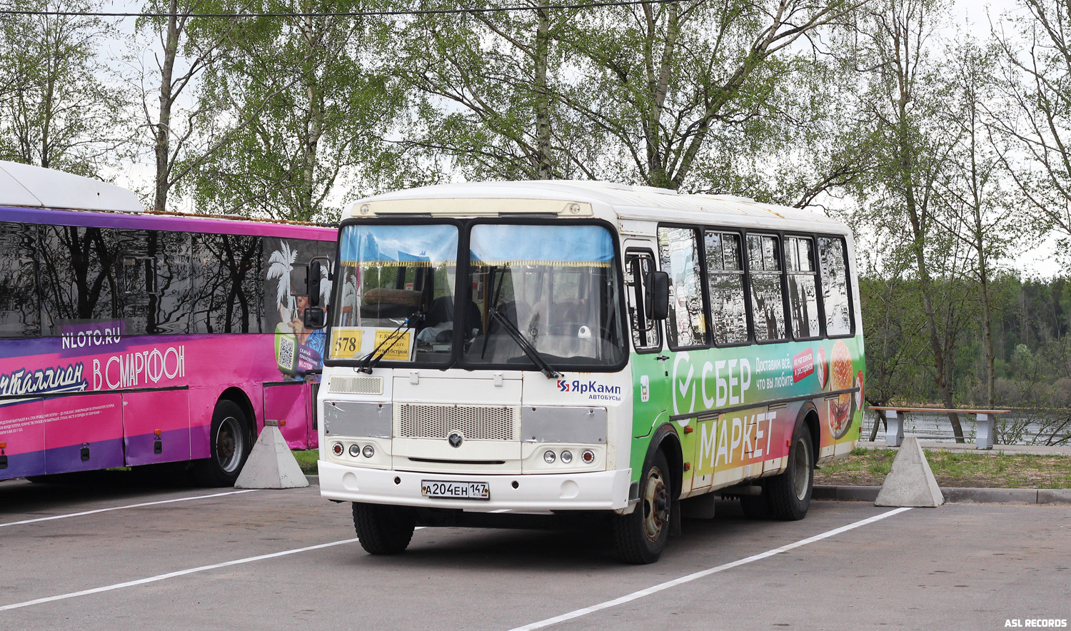 Ленинградская область, ПАЗ-4234-05 № А 204 ЕН 147 — Фото — Автобусный транспорт