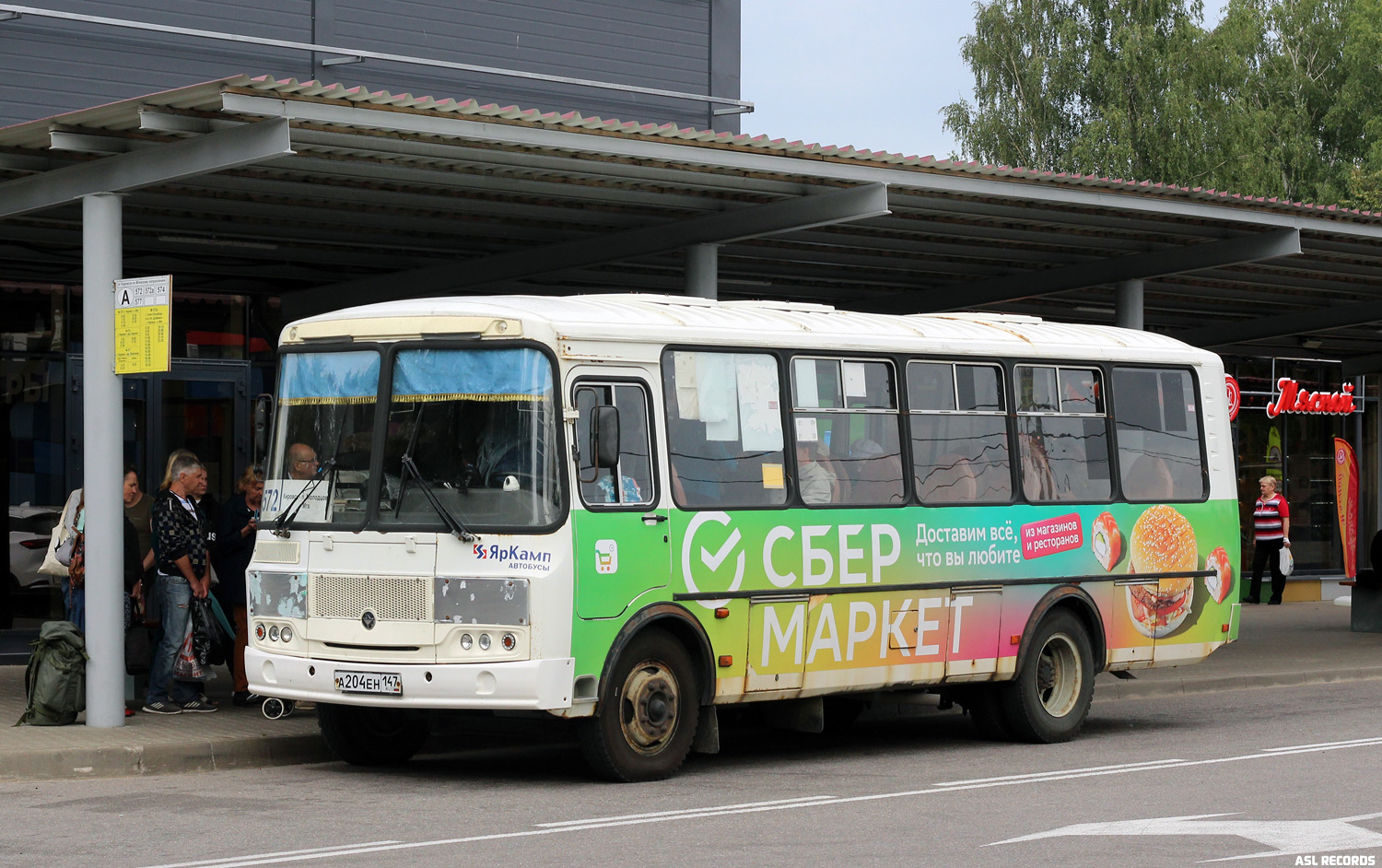 Ленинградская область, ПАЗ-4234-05 № А 204 ЕН 147 — Фото — Автобусный транспорт