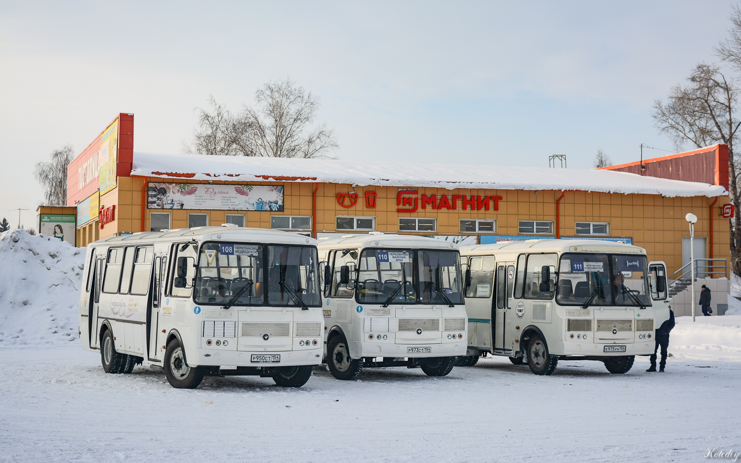 Новосибирская область, ПАЗ-4234-04 № Р 950 СТ 154 — Фото — Автобусный транспорт