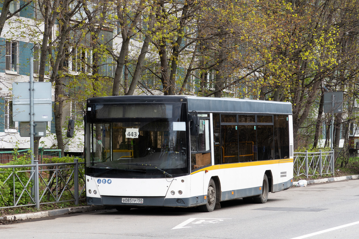 Московская область, МАЗ-206.085 № 083723 — Фото — Автобусный транспорт