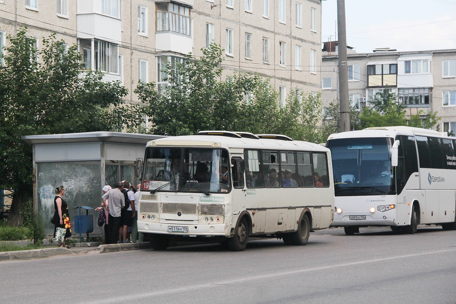 Пермский край, ПАЗ-4234-04 № М 511 ВН 159 — Фото — Автобусный транспорт