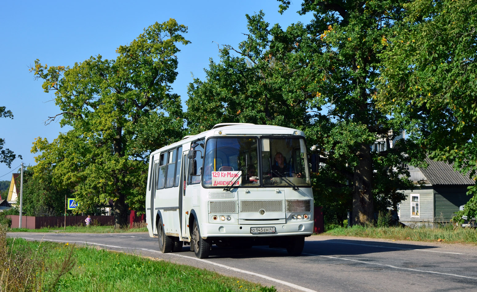 Ленинградская область, ПАЗ-4234-05 № О 145 ЕН 47 — Фото — Автобусный транспорт