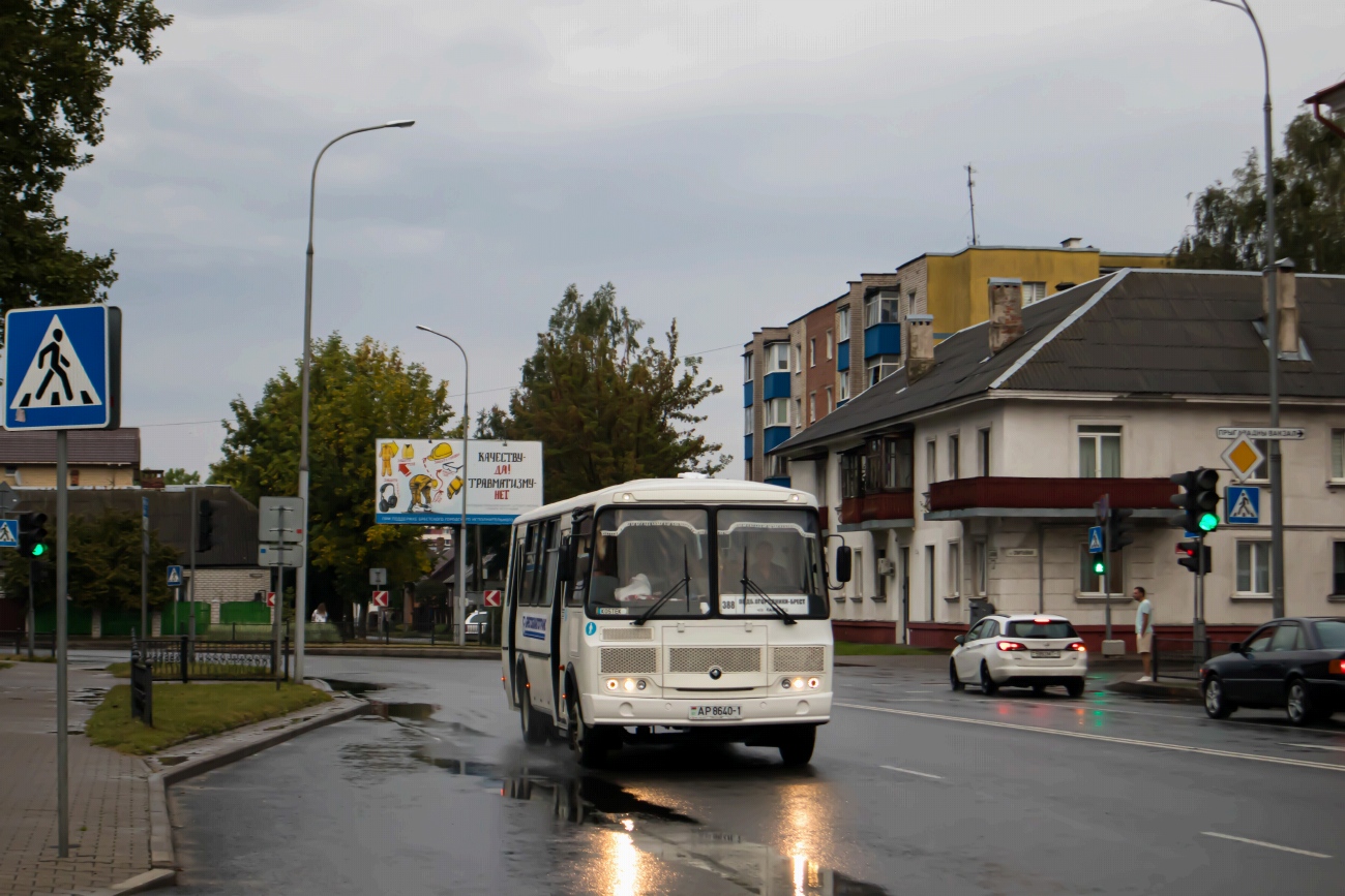 Брестская область, ПАЗ-4234-04 № 234 — Фото — Автобусный транспорт