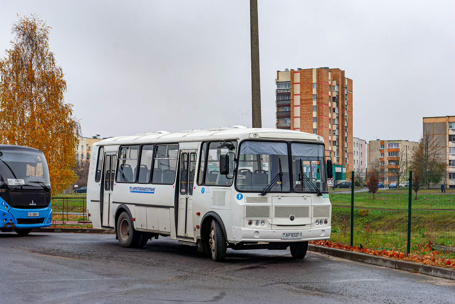 Брестская область, ПАЗ-4234-04 № 020890 — Фото — Автобусный транспорт