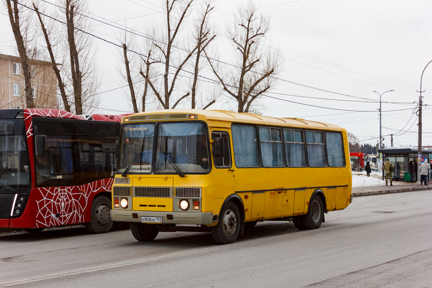 Пермский край, ПАЗ-4234-05 № Е 808 АЕ 159 — Фото — Автобусный транспорт
