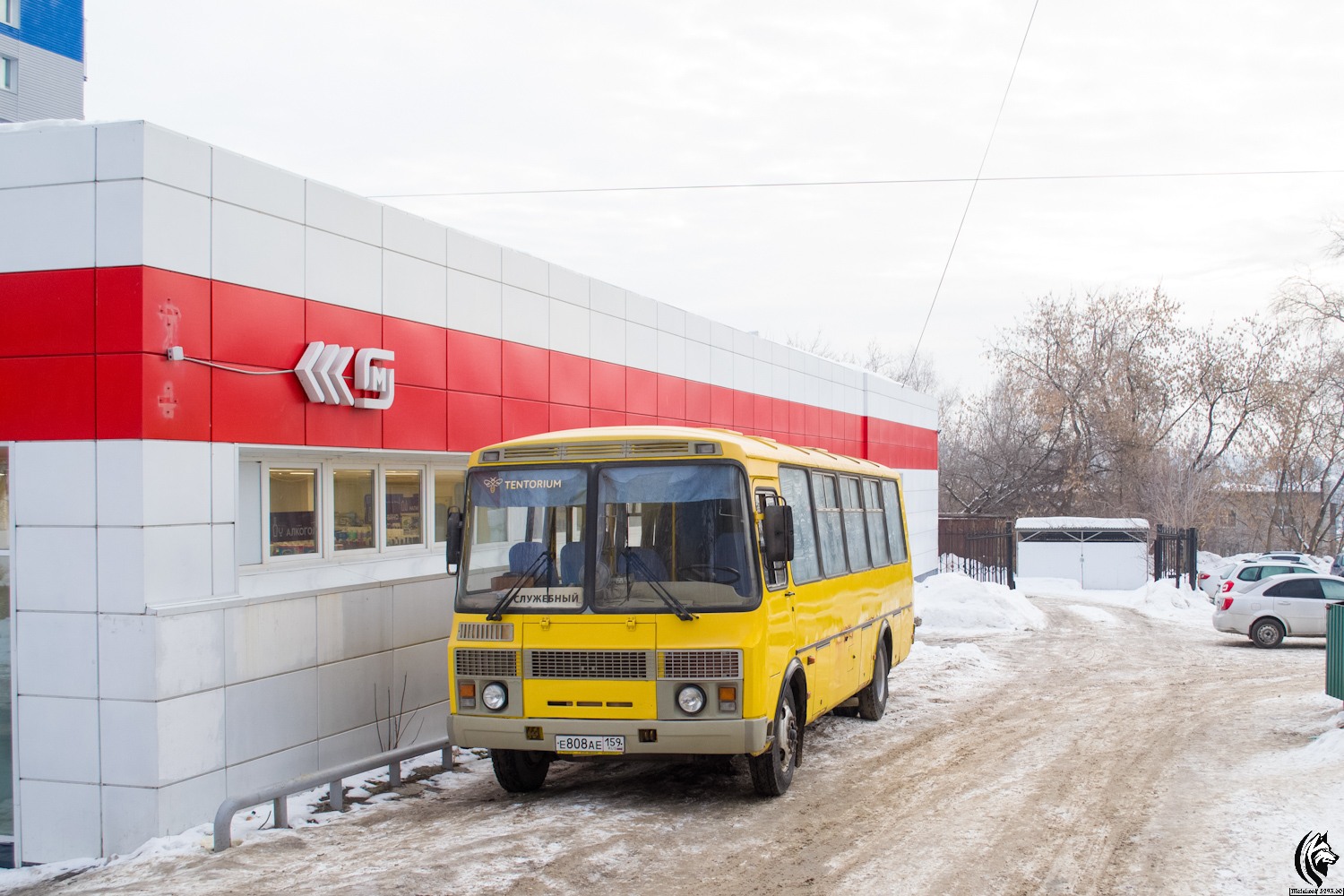 Пермский край, ПАЗ-4234-05 № Е 808 АЕ 159 — Фото — Автобусный транспорт