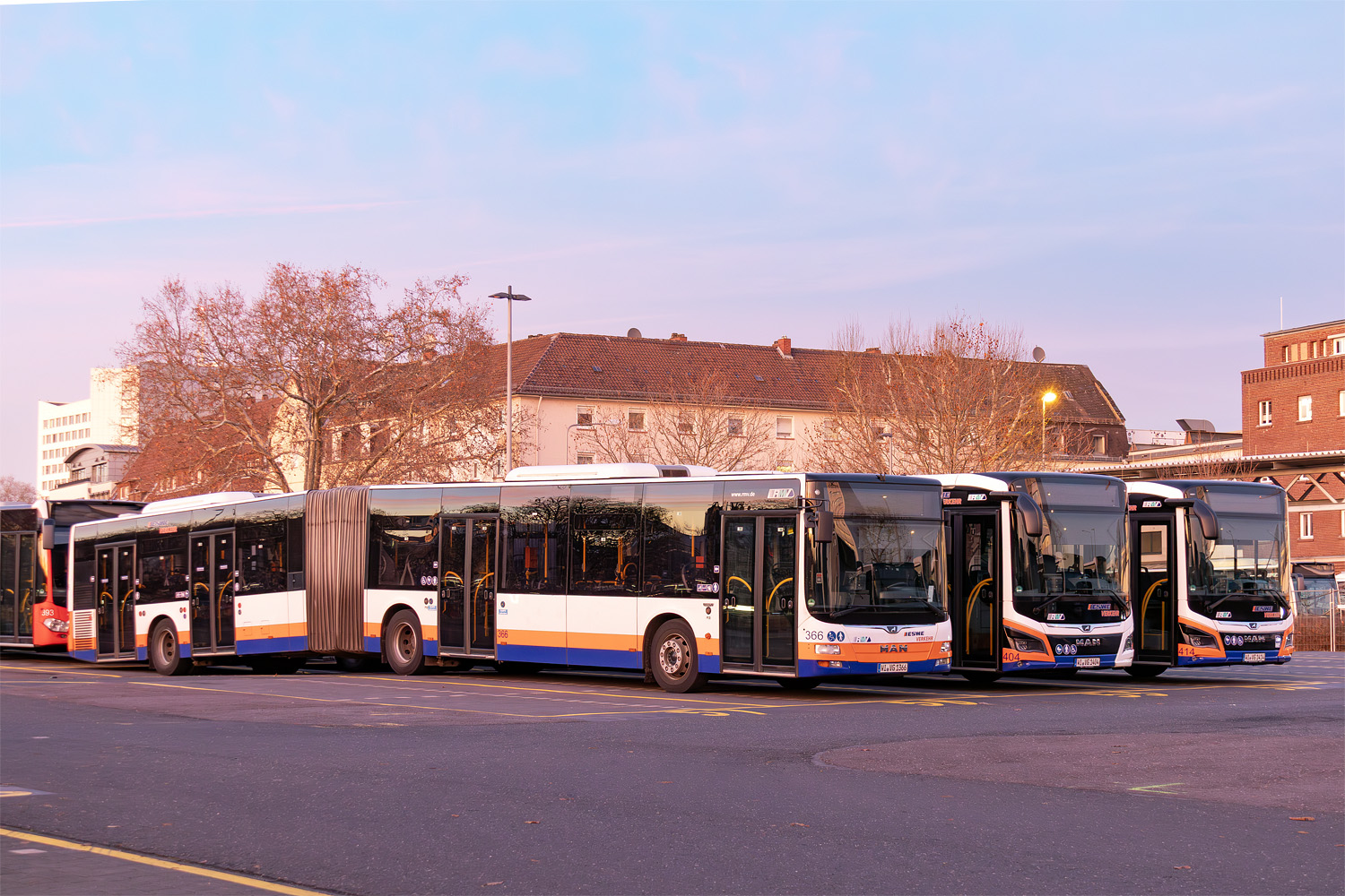 Гессен, MAN A40 Lion's City GL NG363 № 366 — Фото — Автобусный транспорт