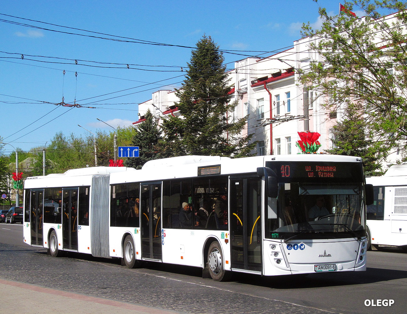 Могилёвская область, МАЗ-216.047 № 1171 — Фото — Автобусный транспорт