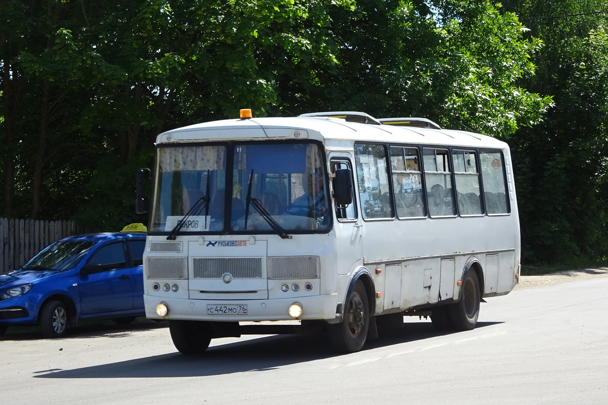 Ярославская область, ПАЗ-4234-04 № С 442 МО 76 — Фото — Автобусный транспорт